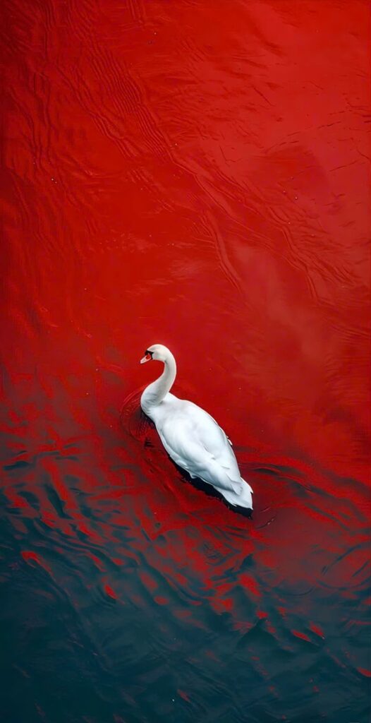 Tổng hợp 69+ Hình nền màu đỏ đẹp dành cho điện thoại
