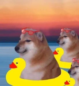 Tổng hợp 99+ Biểu cảm meme cheems lầy lội, hài hước, cute