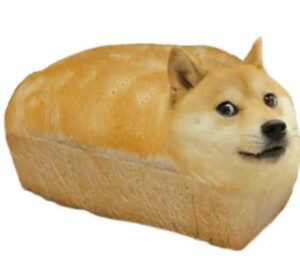 Tuyển tập [89+] Ảnh meme chó hài hước khiến bạn cười ngất